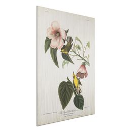 Bilderwelten Alu Dibond Outdoor Bild Blumen gr&uuml;n Vintage wetterfest - Vintage Lehrtafel Grasm&uuml;cke II - Retro Wohnzimmer Schlafzimmer