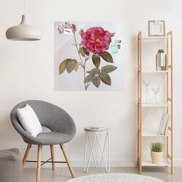 Bilderwelten Glasbild Blumen Vintage pink Glas Wandbild - Pierre Joseph Redout&eacute; - Apothekerrose - Retro Wohnzimmer Schlafzimmer