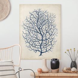 Bilderwelten Leinwandbild Botanik Indigo Koralle I - Leinwanddruck Hochformat - Wandbild S-XXL - moderne Bilder auf Leinwand Wohnzimmer Schlafzimmer