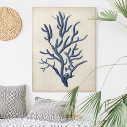 Bilderwelten Leinwandbild Botanik Indigo Koralle II - Leinwanddruck Hochformat - Wandbild S-XXL - moderne Bilder auf Leinwand Wohnzimmer Schlafzimmer