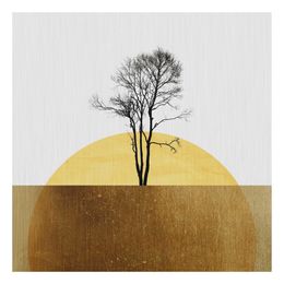 Bilderwelten Alu Dibond Outdoor Bild Natur gold modern wetterfest - Goldene Sonne mit Baum - Sonnenuntergang Wohnzimmer Schlafzimmer