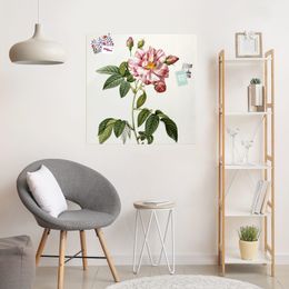 Bilderwelten Glasbild Blumen Vintage rosa Glas Wandbild - Pierre Joseph Redout&eacute; - Rosa Gallica-Rose - Retro Wohnzimmer Schlafzimmer