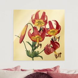 Bilderwelten Glasbild Blumen Vintage pink Glas Wandbild - Pierre Joseph Redout&eacute; - T&uuml;rkenbundlilie - Retro Wohnzimmer Schlafzimmer