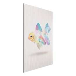 Bilderwelten Alu Dibond Outdoor Bild Tiere pastell Fotomontage wetterfest - Fisch in Pastell - Fische Wohnzimmer Schlafzimmer