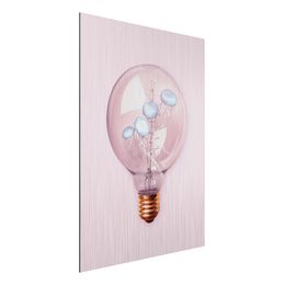 Bilderwelten Alu-Dibond Outdoor Bild Gl&uuml;hbirne mit Quallen