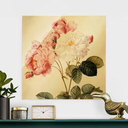 Bilderwelten Glasbild Blumen Vintage rosa Glas Wandbild - Pierre Joseph Redout&eacute; - Damaszener-Rose - Retro Wohnzimmer Schlafzimmer