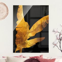Bilderwelten Glasbild Tropisch gold Glas Wandbild - Gold - Bananenpalme auf Schwarz - Pflanzen Wohnzimmer Schlafzimmer