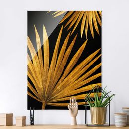 Bilderwelten Glasbild Tropisch gold Glas Wandbild - Gold - Palmenblatt auf Schwarz - Pflanzen Wohnzimmer Schlafzimmer