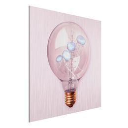 Bilderwelten Alu Dibond Outdoor Bild Tiere rosa Digital Art wetterfest - Gl&uuml;hbirne mit Quallen - Deko Wohnzimmer Schlafzimmer