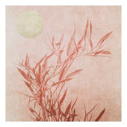 Bilderwelten Alu Dibond Outdoor Bild Natur rosa modern wetterfest - Goldene Sonne mit Rosa Bambus - Bambus Wohnzimmer Schlafzimmer