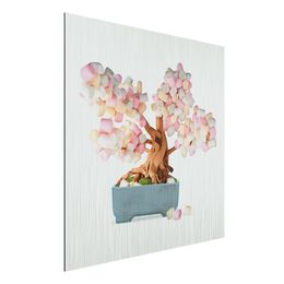 Bilderwelten Alu-Dibond Outdoor Bild Bonsai mit Marshmallows