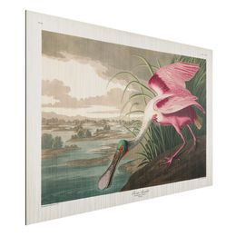 Bilderwelten Alu Dibond Outdoor Bild Natur rosa Vintage wetterfest - Vintage Lehrtafel Rosa St&ouml;r - Landschaft Wohnzimmer Schlafzimmer