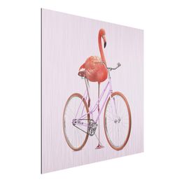 Alu-Dibond Flamingo mit Fahrrad