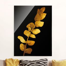 Bilderwelten Glasbild Tropisch gold Glas Wandbild - Gold - Eukalyptus auf Schwarz - Pflanzen Wohnzimmer Schlafzimmer