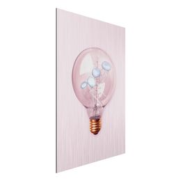 Bilderwelten Alu Dibond Outdoor Bild Tiere rosa Digital Art wetterfest - Gl&uuml;hbirne mit Quallen - Deko Wohnzimmer Schlafzimmer