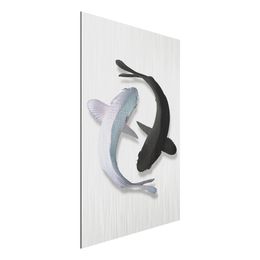 Bilderwelten Alu-Dibond Outdoor Bild Fische Ying & Yang