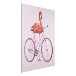 Bilderwelten Alu-Dibond Outdoor Bild Flamingo mit Fahrrad