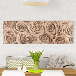 Bilderwelten Leinwandbild - Panorama Vintage Rosen