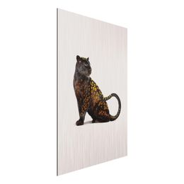 Bilderwelten Alu-Dibond Outdoor Bild Goldener Panther