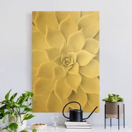 Bilderwelten Leinwandbild - Hochformat Kaktus Sukkulente