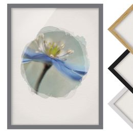 Bilderwelten Bild mit Rahmen - Hochformat Wasserfarben - Tanzende Anemonen