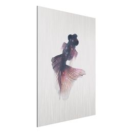 Bilderwelten Alu Dibond Outdoor Bild Tiere violett Digital Art wetterfest - Fisch mit Galaxie - Fische Wohnzimmer Schlafzimmer