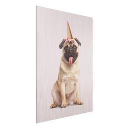 Bilderwelten Alu Dibond Outdoor Bild Tiere beige Fotomontage wetterfest - Mops mit Eiswaffel - Hund K&uuml;che