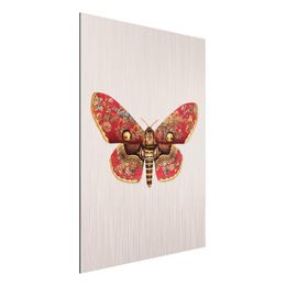 Bilderwelten Alu-Dibond Outdoor Bild Vintage Motte