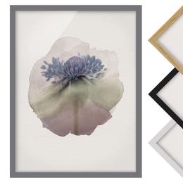Bilderwelten Bild mit Rahmen - Hochformat Wasserfarben - Anemone in Violett