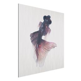 Bilderwelten Alu-Dibond Outdoor Bild Fisch mit Galaxie