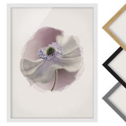 Bilderwelten Bild mit Rahmen Blumen beige Fotomontage Aquarell - Wasserfarben - Anemonenbrise - Deko Wohnzimmer Schlafzimmer