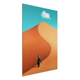 Bilderwelten Alu Dibond Outdoor Bild Natur orange Fotomontage wetterfest - W&uuml;ste mit Pinguin - W&uuml;ste Wohnzimmer Schlafzimmer