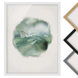 Bilderwelten Bild mit Rahmen - Hochformat Wasserfarben - Schmetterling und Tautropfen in Pastellgr&uuml;n