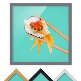 Bilderwelten Bild mit Rahmen - Quadrat Sushi mit Goldfisch