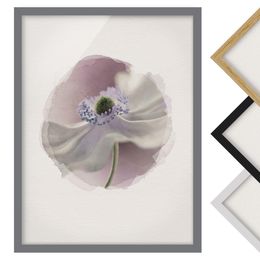 Bilderwelten Bild mit Rahmen - Hochformat Wasserfarben - Anemonenbrise