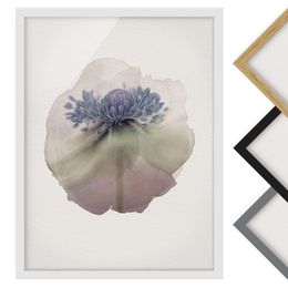 Bilderwelten Bild mit Rahmen - Hochformat Wasserfarben - Anemone in Violett