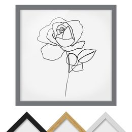 Bilderwelten Bild mit Rahmen - Quadrat Line Art Rose Schwarz Wei&szlig;