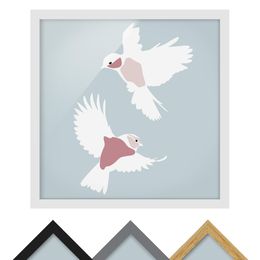 Bilderwelten Bild mit Rahmen - Quadrat Line Art Tauben Pastell