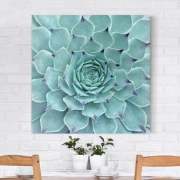 Bilderwelten Leinwandbild Blumen Tropisch Kunstdruck t&uuml;rkis - Kaktus Agave - Pflanzen XXL Wohnzimmer Schlafzimmer