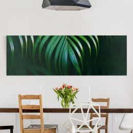 Bilderwelten Leinwandbild - Panorama Palmenwedel