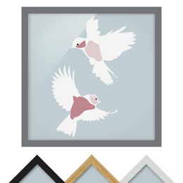 Bilderwelten Bild mit Rahmen - Quadrat Line Art Tauben Pastell