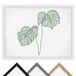 Bilderwelten Bild mit Rahmen - Querformat Bl&auml;tter Monstera Line Art