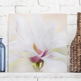 Bilderwelten Leinwandbild Blumen Motiv Kunstdruck beige - Zarte Magnolienbl&uuml;te - Wandbild XXL Wohnzimmer Schlafzimmer