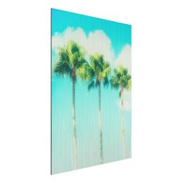 Bilderwelten Alu-Dibond Outdoor Bild Palmen vor Himmel Blau