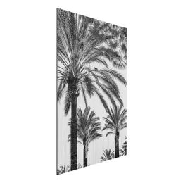 Bilderwelten Alu Dibond Outdoor Bild Natur schwarz weiss Tropisch wetterfest - Palmen im Sonnenuntergang Schwarz-Wei&szlig; - Palme Wohnzimmer Schlafzimmer