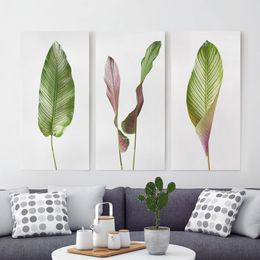 Bilderwelten 3-teiliges Leinwandbild - Hochformat Gro&szlig;e Bl&auml;tter Calathea-ornata