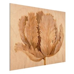 Bilderwelten Alu Dibond Outdoor Bild Blumen beige Illustration wetterfest - Sepia Tulpe auf Holz II - Deko Wohnzimmer Schlafzimmer