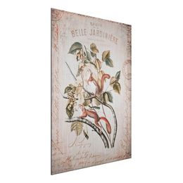 Bilderwelten Alu Dibond Outdoor Bild Tiere braun Landhaus wetterfest - Shabby Chic Collage - Eichh&ouml;rnchen - Pflanzen Wohnzimmer Schlafzimmer