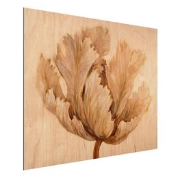 Bilderwelten Alu Dibond Outdoor Bild Blumen beige Illustration wetterfest - Sepia Tulpe auf Holz - Deko Wohnzimmer Schlafzimmer