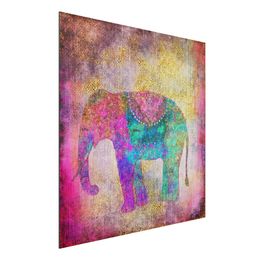 Bilderwelten Alu Dibond Outdoor Bild Tiere bunt modern wetterfest - Bunte Collage - Indischer Elefant - Elefant Wohnzimmer Schlafzimmer